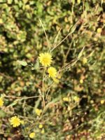 Pick Me! - Laura Moncur's Weblog